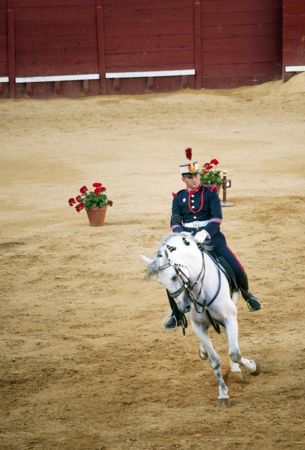 Rider on a white horse editorial image. Image of editorial - 25312595