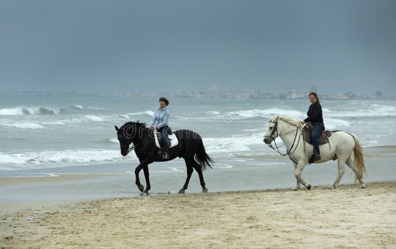 Riders and horses stock photo. Image of sport, walking - 165722360