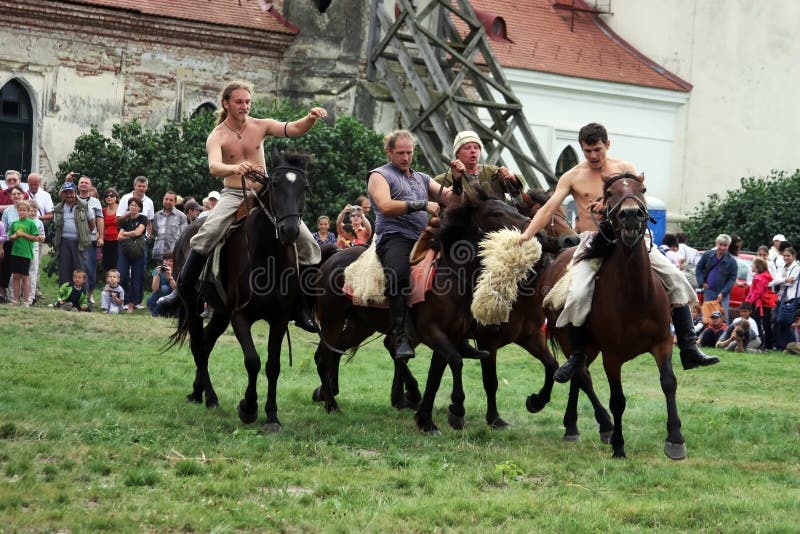 Naked Horse Basketball Game Stock Photos - Free & Royalty-Free Stock ...