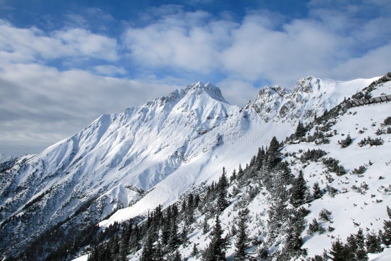 Ridge in alps stock image. Image of austria, park, beautiful - 19322773