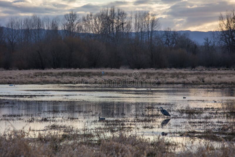 Ridge field nature area stock photo. Image of protect - 186894536