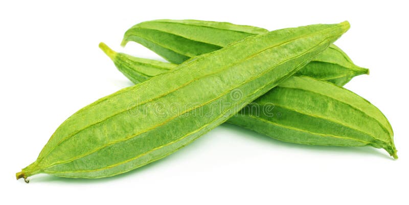 Ridge gourd stock image. Image of edible, ingredient - 25907265