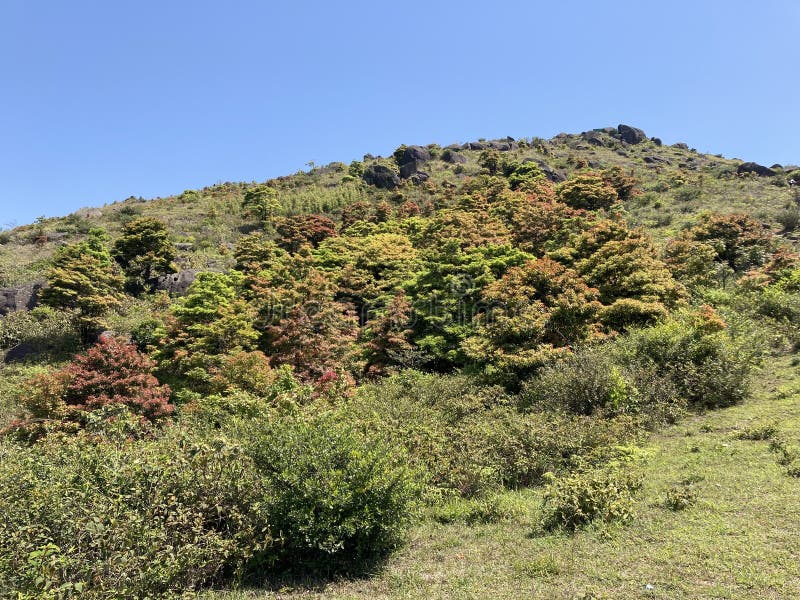 A ridge of green stock image. Image of hongkong, harmon - 257006463