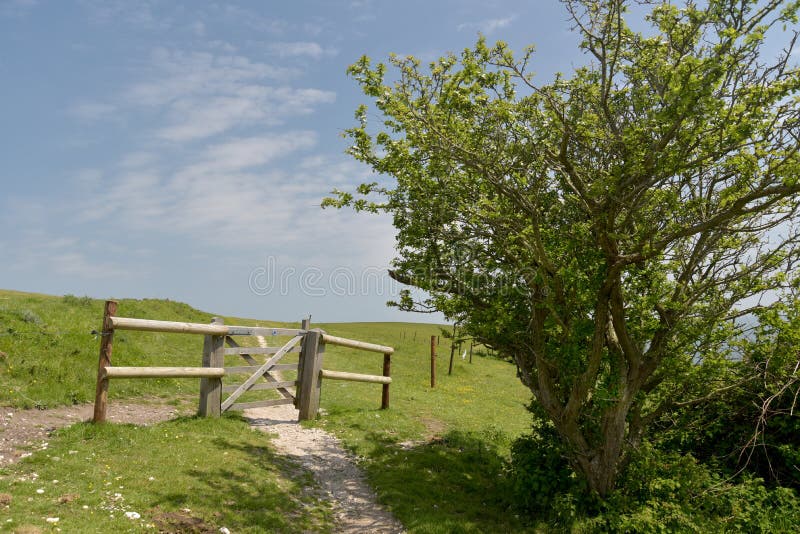 Ridge Path Above Corfe Castle Stock Photo - Image of hike, orienteer ...