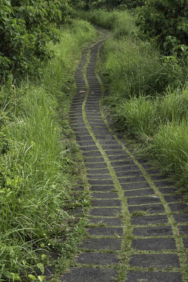 Ridge Walk pathway in Bali stock photo. Image of leaf - 243748638