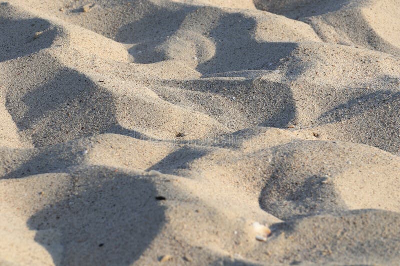 Sands of Time: Nature S Patterns with Shells and Pebbles Stock Photo ...