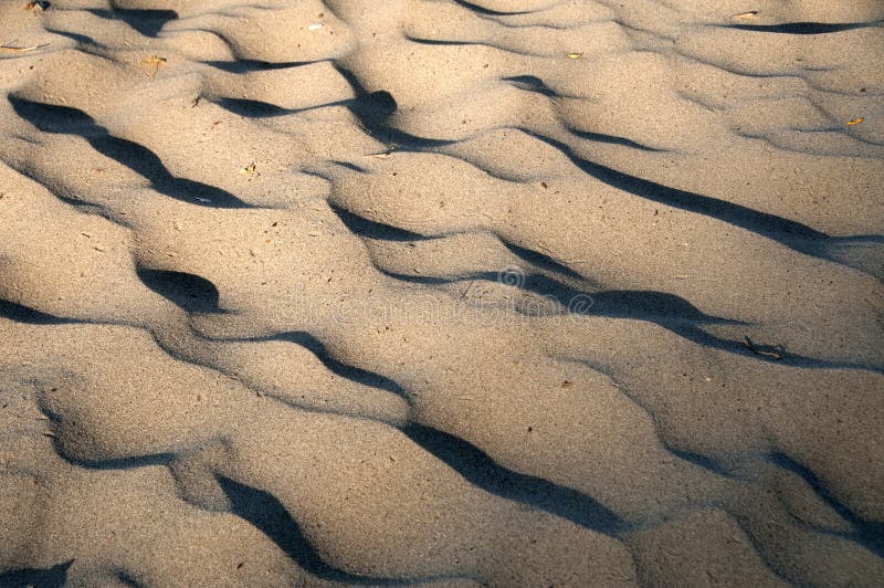 Ridges Of Sand Formed In Sand Dune Stock Photo - Image of texture ...
