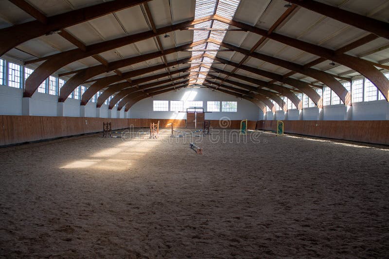 Riding arena stock photo. Image of farm, leisure, activity - 195996098