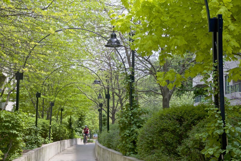 Riding a Bicycle through the Public Park in Springtime Stock Photo ...