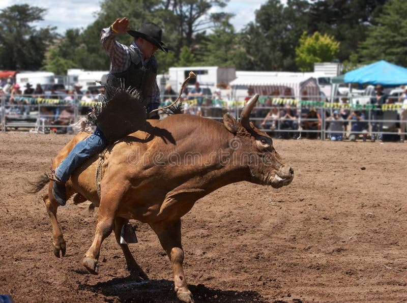 Riding the Bull editorial photography. Image of dirt, legs - 748627
