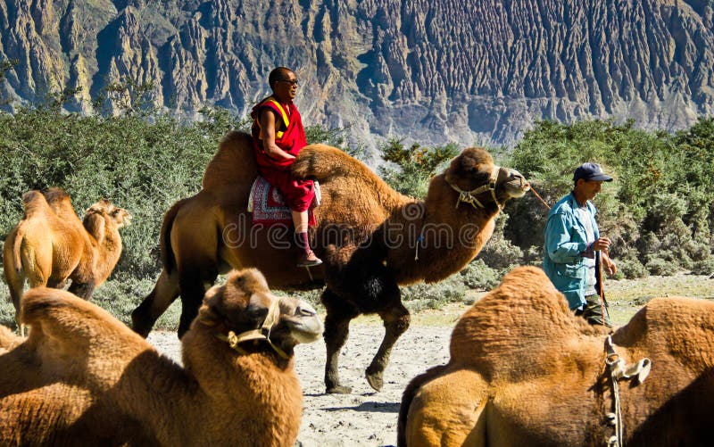 Riding Camel editorial photo. Image of decorated, camel - 27853916