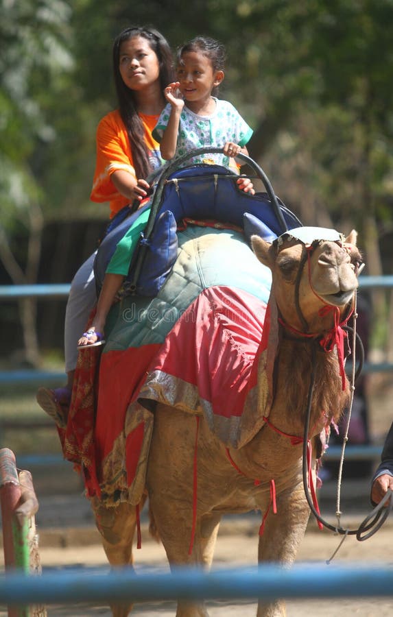 Riding camel editorial image. Image of desert, walking - 31885585