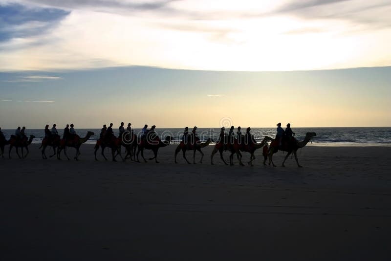 Riding Camels Picture. Image: 4737573