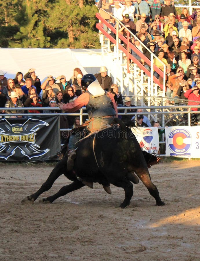 Rodeo editorial stock photo. Image of bullfighting, bull - 109047433