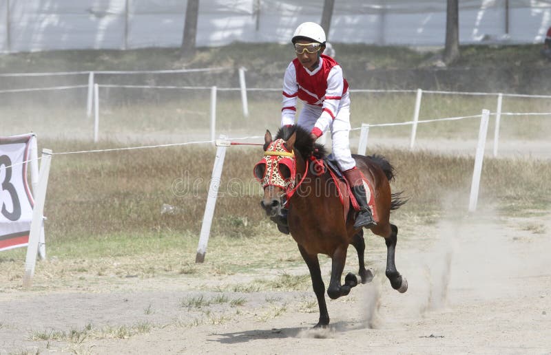 Riding horse editorial photography. Image of horse, java - 76540002