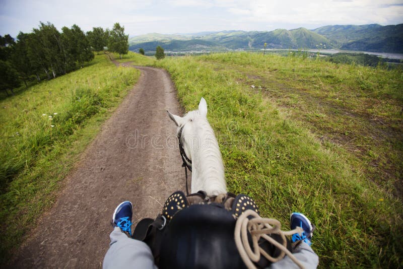 Riding a Horse on Rural Road. View from Horse Stock Photo - Image of ...