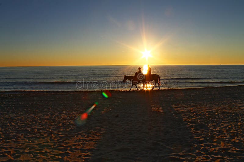 Riding Horses on the Beach during Sunset Stock Photo - Image of holiday ...