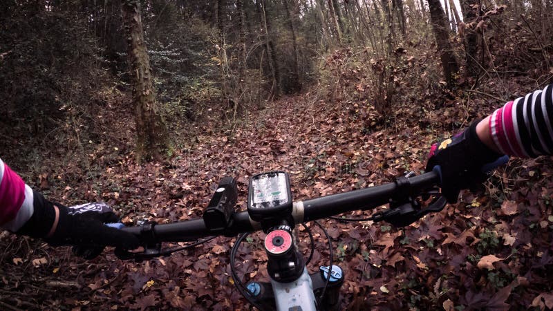 Riding a Mountain Bike on a Single Track Forest As Fast As Possible in ...