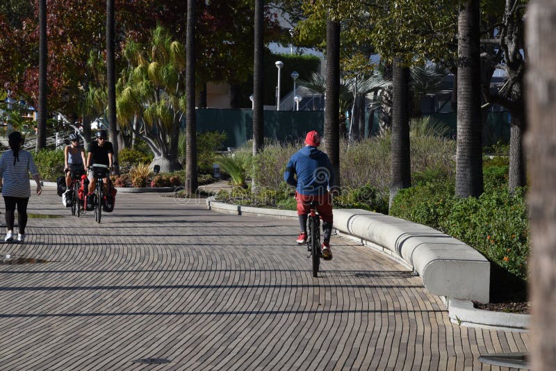 Bicyclist Riding the Path editorial image. Image of bicycle - 47659100