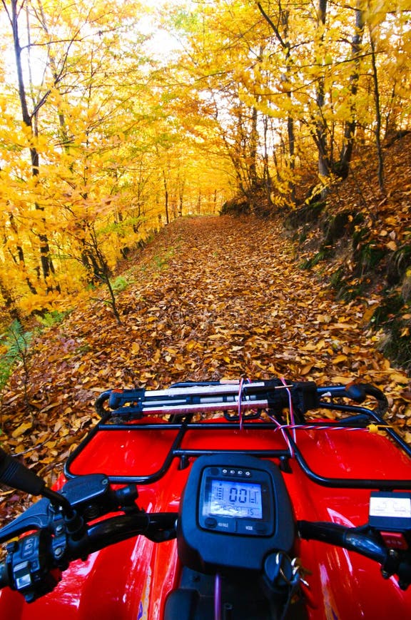 Riding quad stock image. Image of terrain, lifestyle - 12836661
