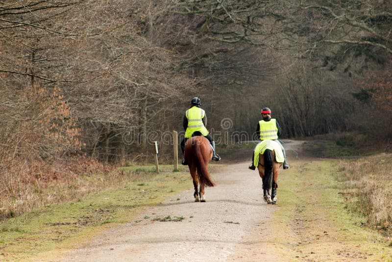 Riding from Sunshine To Shadow Stock Photo - Image of deciduous ...