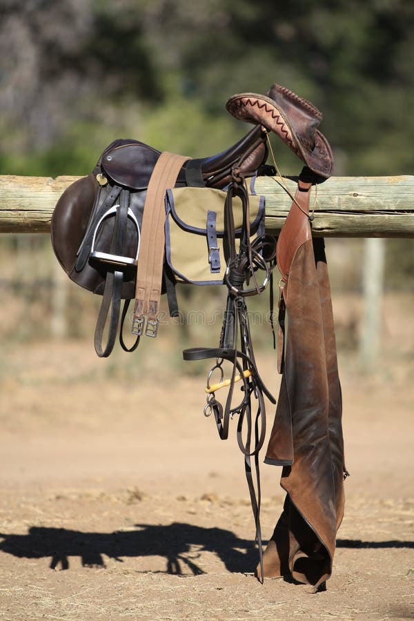 Riding tack stock photo. Image of metal, vertical, equipment - 21109396