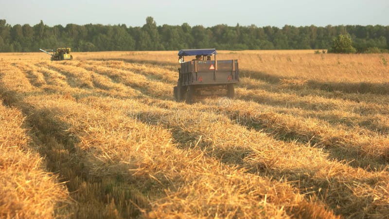 Top View of Tractor Dumps Garbage on the Landfill. Stock Video - Video ...