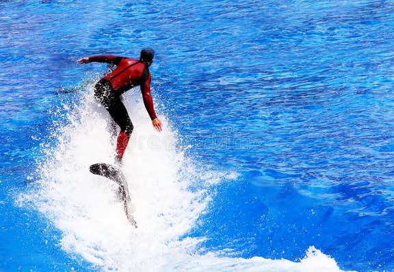 Man Riding Whale Saddle Stock Photos - Free & Royalty-Free Stock Photos ...