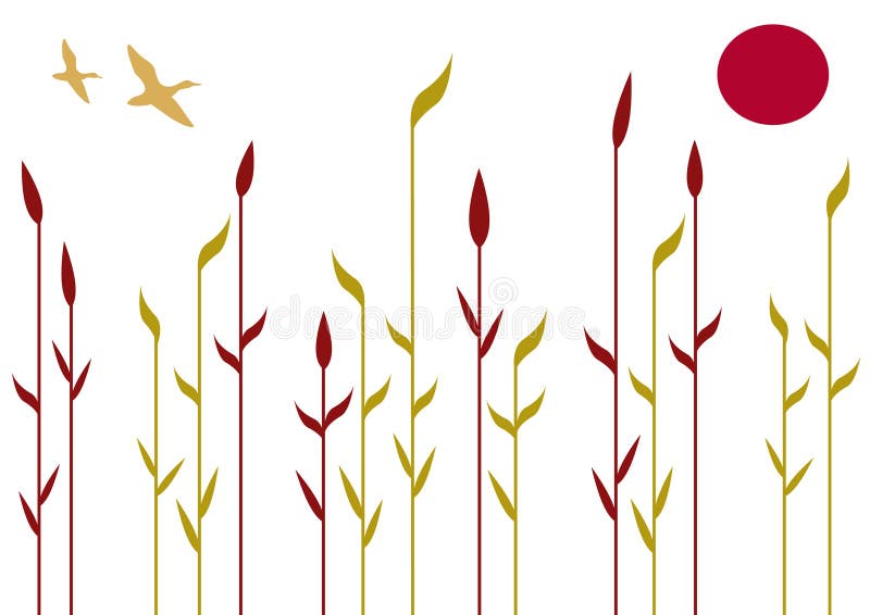 Riet vector illustratie. Illustration of knop, tekening - 10230736