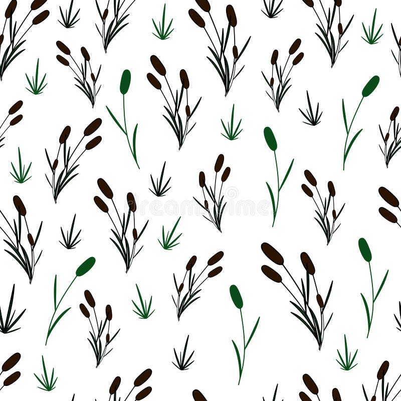Riet Op Een Witte Achtergrond Vector Illustratie - Illustration of ...