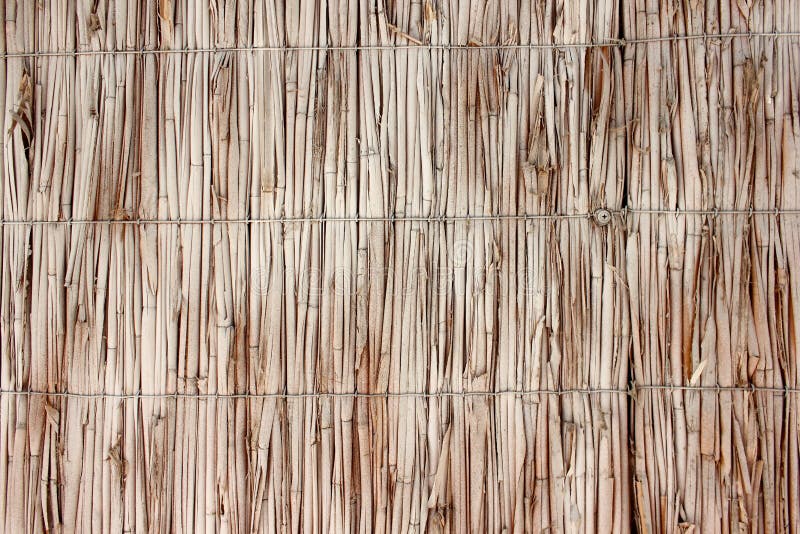 Rieten muur van riet stock afbeelding. Image of achtergronden - 51221549