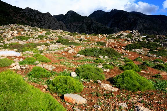 Rif Mountains stock image. Image of palnt, hashish, clouds - 13333615