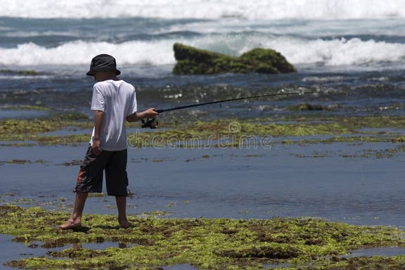 Rifffischen stockfoto. Bild von sohn, marinesoldat, riff - 444966
