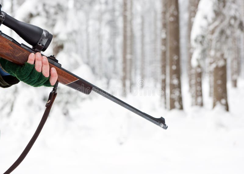 Rifle stock photo. Image of barrel, waiting, wood, snow - 12603152