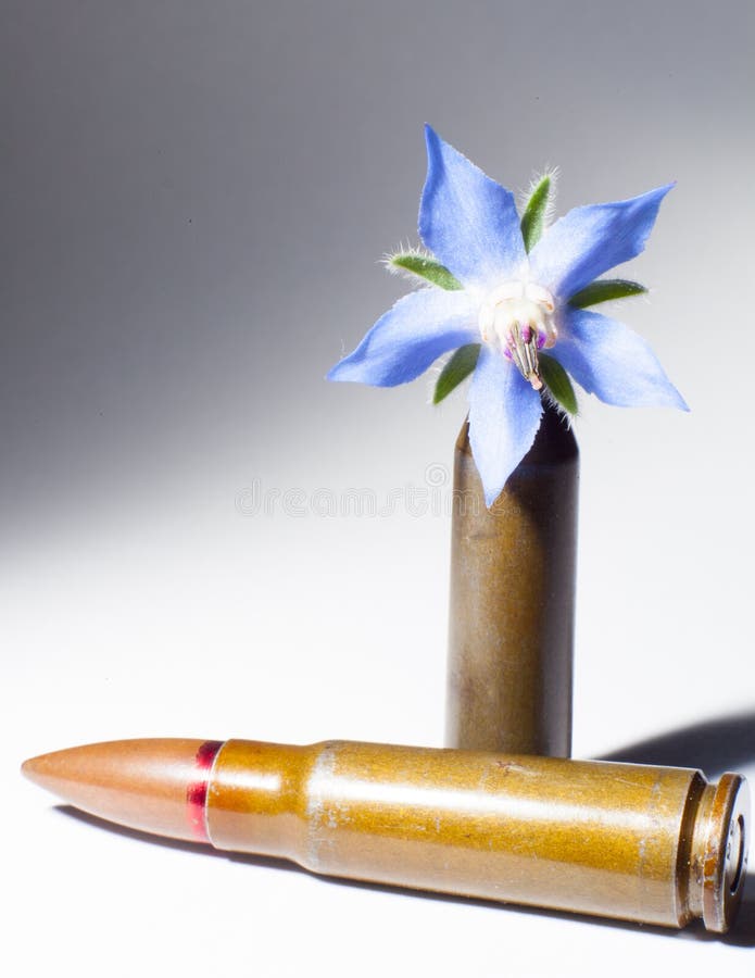 Rifle Bullet and a Flower Bullet Stock Photo - Image of shell, positive ...