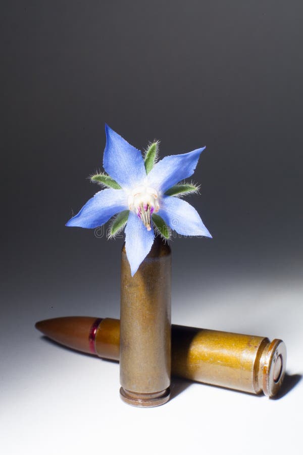 Rifle Bullet and a Flower Bullet Stock Photo - Image of goodness ...