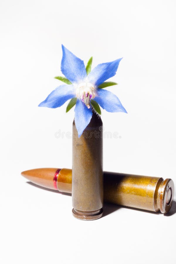 Rifle Bullet and a Flower Bullet Stock Photo - Image of peace, beauty ...