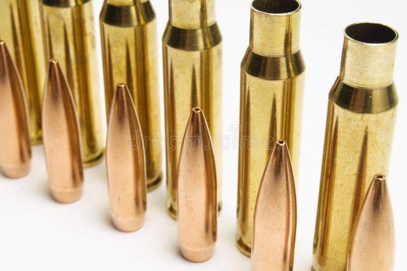Rifle bullets separated stock photo. Image of armed, hunt - 31071344