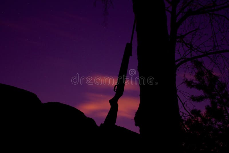 Rifle leaning against tree stock image. Image of walking - 44685235