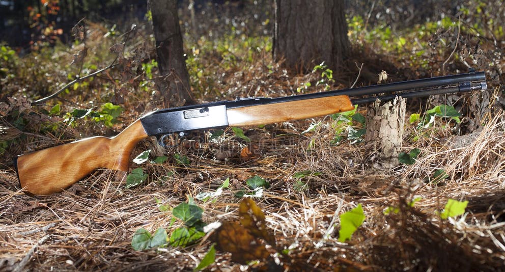 Rifle in the trees stock image. Image of beige, weapon - 68527995