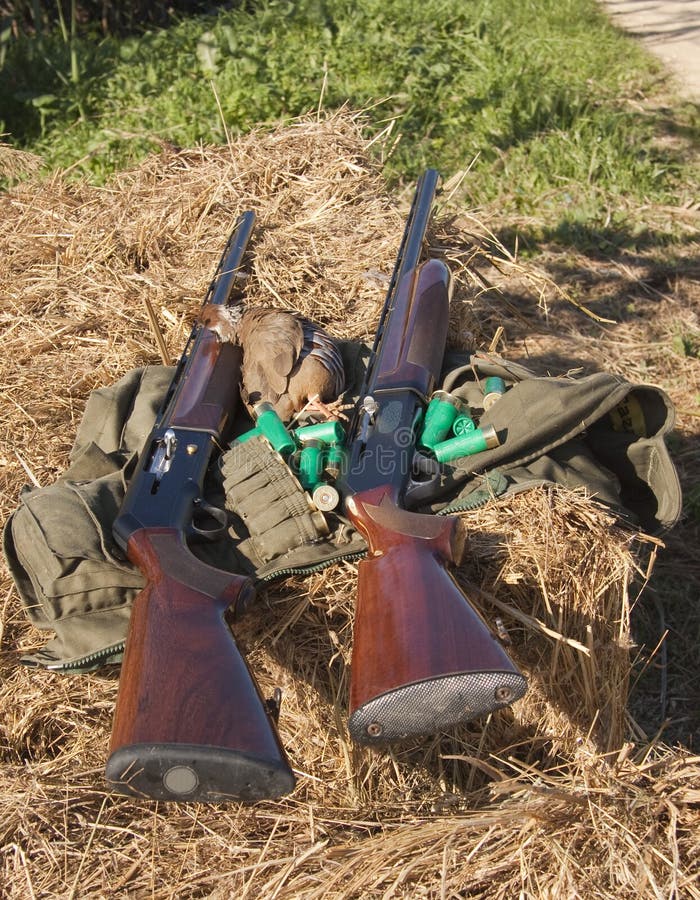 Shooting tin cans stock photo. Image of holes, accuracy - 22640958