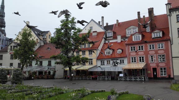 Riga editorial photography. Image of birds, riga, town - 80177012