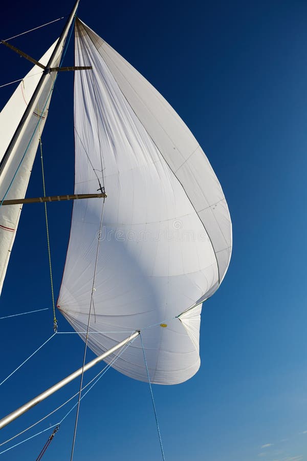 Rigging the Symmetric Spinnaker Stock Photo - Image of fleet, sailor ...