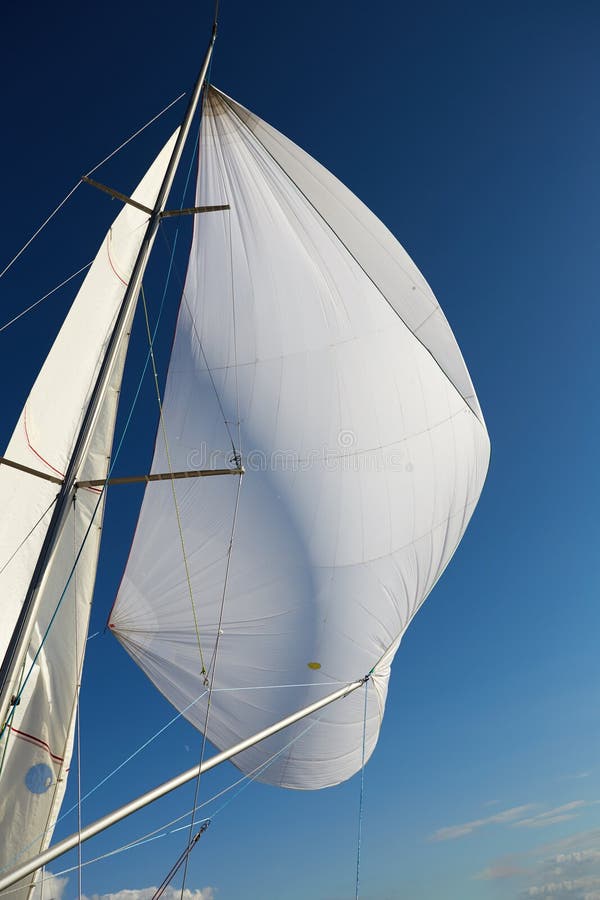 Rigging the Symmetric Spinnaker Stock Photo - Image of fleet, sailor ...