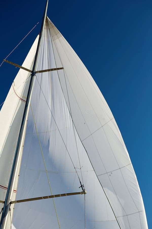 Rigging the Symmetric Spinnaker Stock Image - Image of professional ...