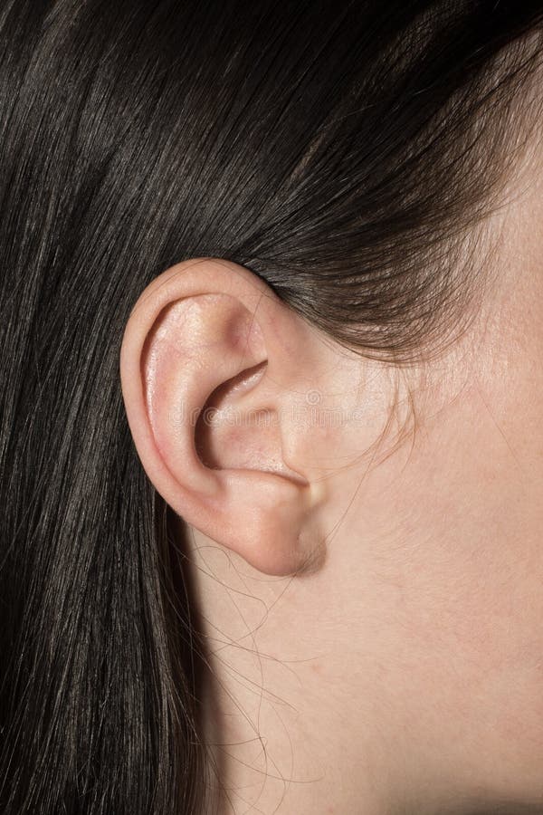 Right Ear of a Brunette Woman Stock Image - Image of hair, natural ...