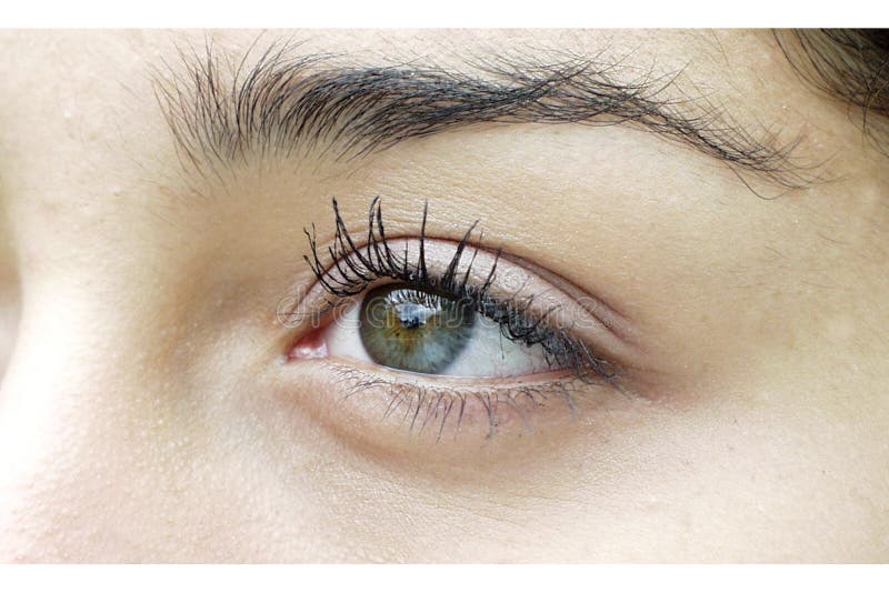 Right eye stock photo. Image of feeling, sentiment, persuasion - 37574