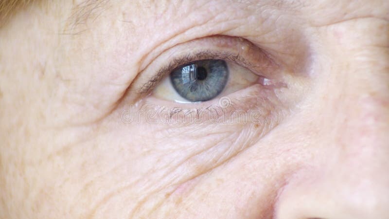 Right Eye. Ophthalmology. the Study of Vision Stock Video - Video of ...