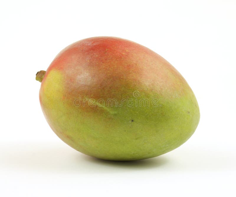 Right front mango stock photo. Image of favorite, scarlet - 12139158