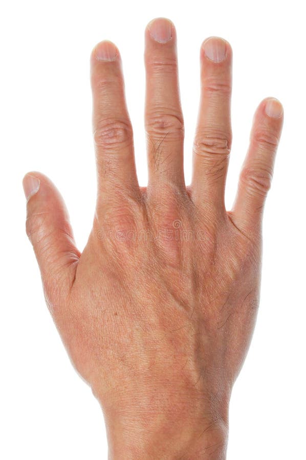 39,141 Hand Right Photos - Free & Royalty-Free Stock Photos from Dreamstime